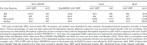 Table 1 From Distinct Cell Types In The Superficial Superior Colliculus Project To The Dorsal