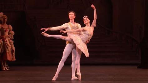 The Sleeping Beauty Wedding pas de deux Marianela Nuñez Vadim