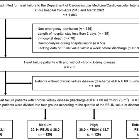 Study Flow Chart Egfr Estimated Glomerular Filtration Rate Feun