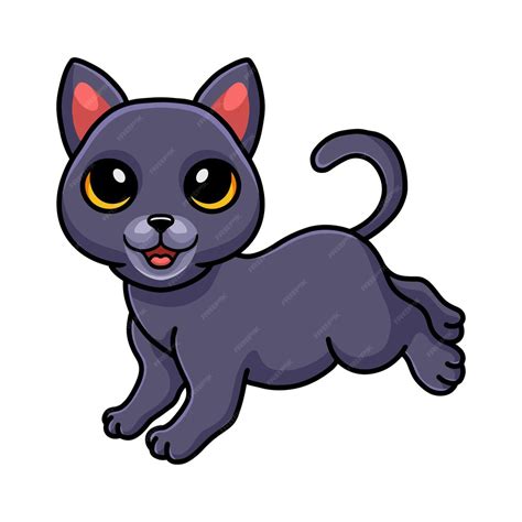 Desenho De Gato Chartreux Bonito Andando Vetor Premium