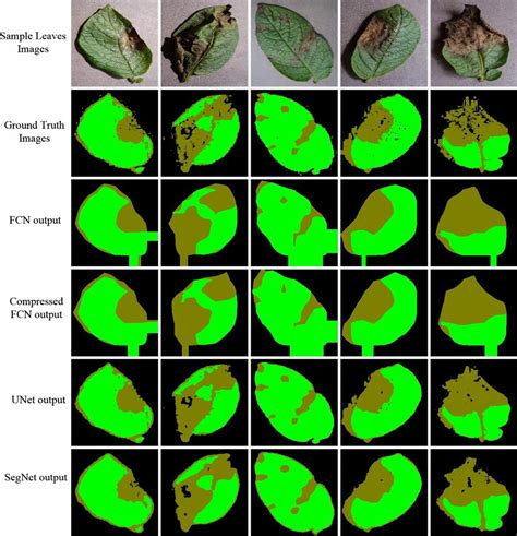 Sample Potato Late Blight Leaf Images From PlantVillage Dataset Their Download Scientific