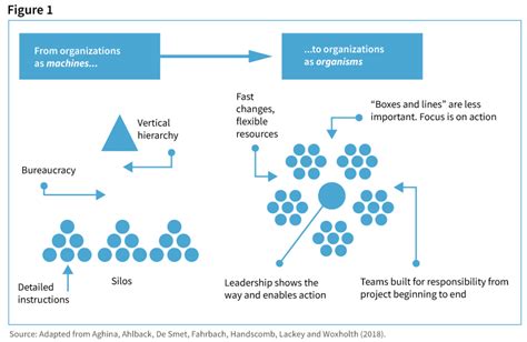 agile anarchy is the name of the future the european business review
