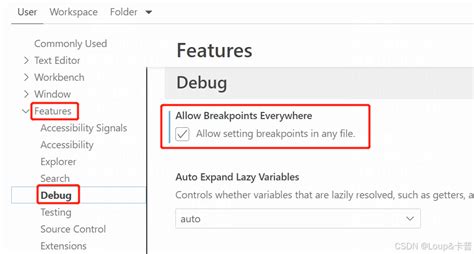 【vscode】vscode 调试 Fortran 代码不能打断点的问题vscode不能打断点 Csdn博客