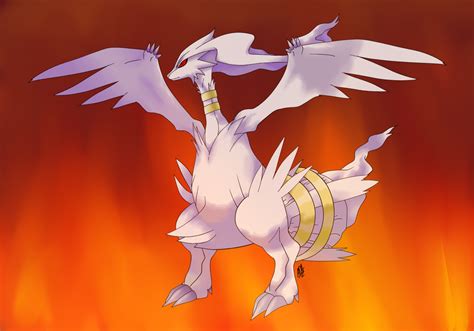 Shiny Reshiram Pokemon Reshiram Poképédia Tavsk