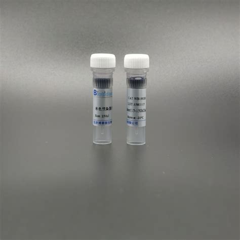 三色预染蛋白marker（10 250kd）条带锐利 宽范围