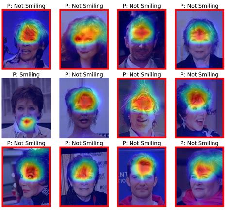 Udis Unsupervised Discovery Of Bias In Deep Visual Recognition Models