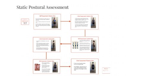 Static Postural Assessment By Courtney Shaw On Prezi
