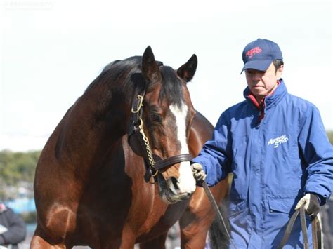 アロースタッドで種牡馬展示会が行われる 馬産地ニュース 競走馬のふるさと案内所