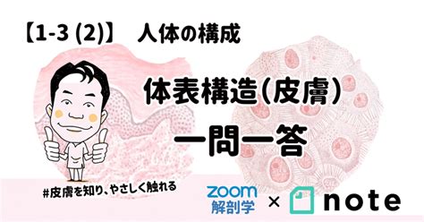 【1 32】人体の構成 体表構造（皮膚） 一問一答｜かずひろ先生（黒澤一弘｜解剖学）