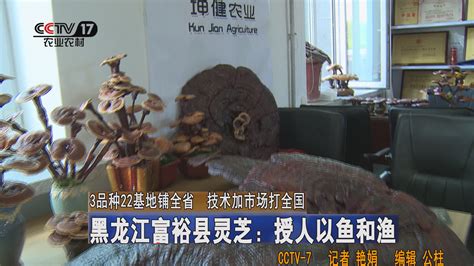 致富经祝嗣臣草根创业种大兴安岭寒地灵芝三年越过盈亏平衡点秘籍是 搜狐大视野 搜狐新闻