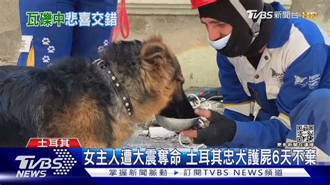 忠犬瓦礫下護主伴屍6天 嬰被震出窗外與母重逢｜tvbs新聞 Internationalnewsplus Youtube