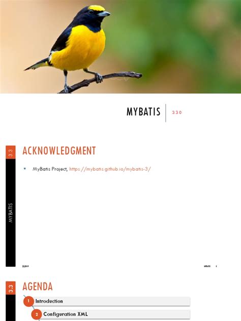 MyBatis Intro | PDF | Programming Paradigms | Computing