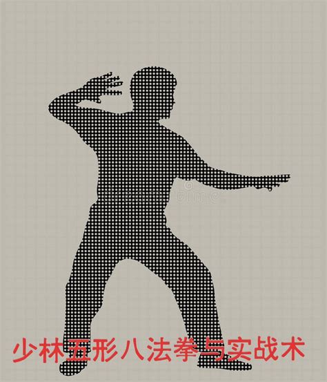 Silhouette Of The Man Of Engaged Kung Fu Stock Vector Illustration Of