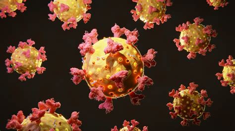 Chlamydia Causes Symptoms Treatment And Prevention