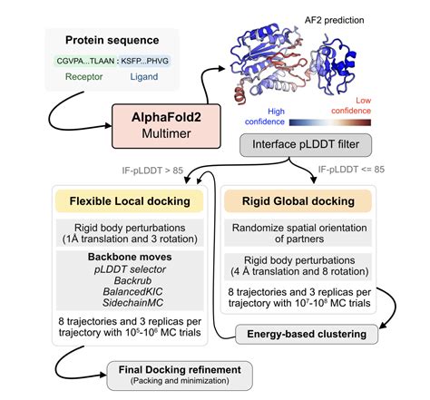 Enhancing Protein Docking With Alphared A Balanced Strategy To Protein