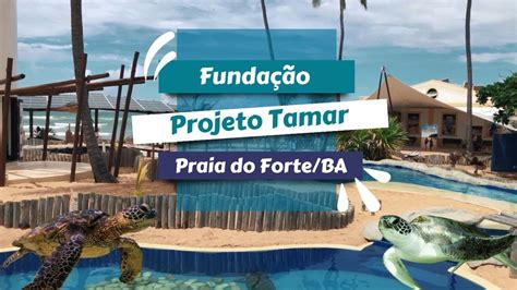 Praia Do Forte Ingressos Online Projeto Tamar Exame