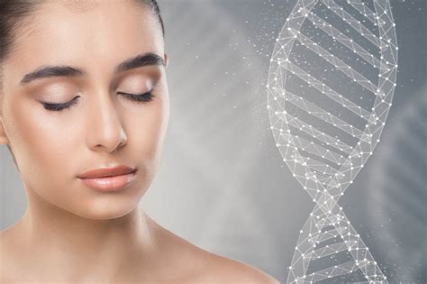 STEM CELLS The Encyclopedia Of Flawless Skin Blog Nanoil United States