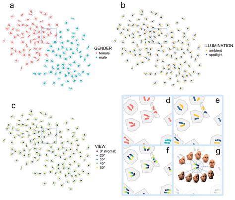 Visualization Of Top Level Dcnn Similarity Space For All Images The Download Scientific