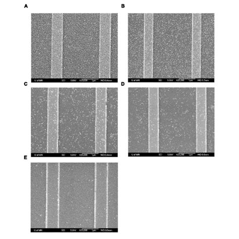 Fabricated Giant Magnetoresistance Gmr Chip A Gmr Chip B 8 Download Scientific