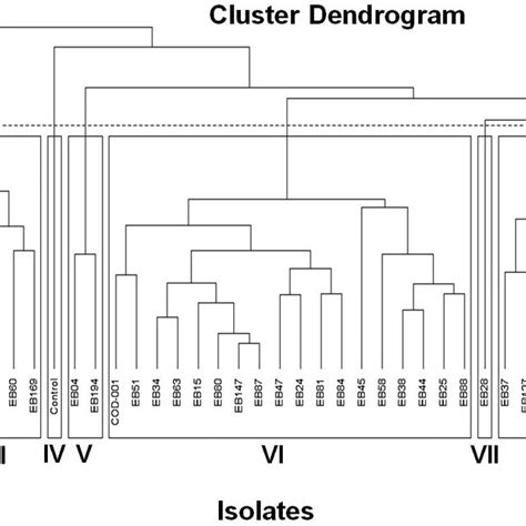 Dendrogram Of Genetic Dissimilarity Constructed With The Jaccard Index