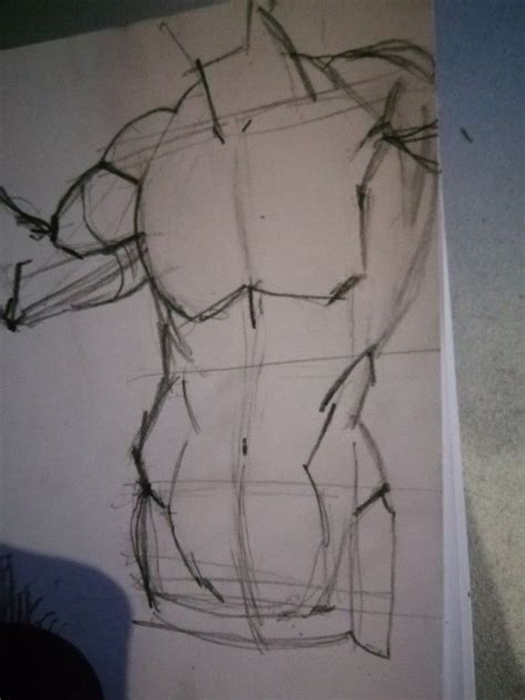 Анатомия мужского торса Анатомия мужского торса Рисование Мужское тело