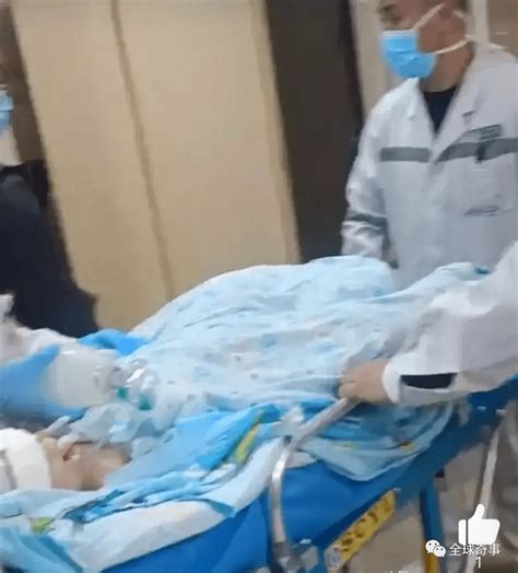 200万慈善款全退，被狗咬女童一分不要，求爱狗人士放过！母亲社会事件