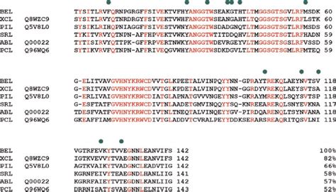Sequence Comparison Of Fungal Lectins The Sequences Were Aligned Using