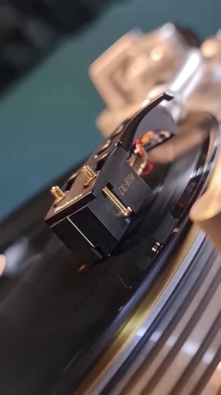 Exploring My Desires On Tumblr