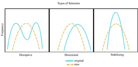 Nakul Nagaraj Biology Blog