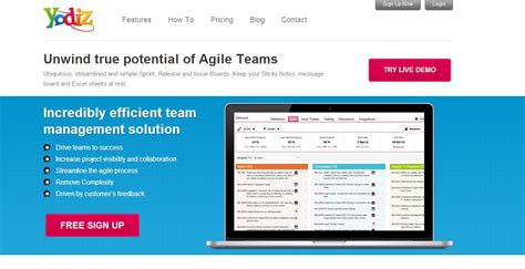 Agile Scrum Issues Project Management Software Project Management Tools Agile Project