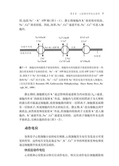 如何快速讀懂心電圖 每日頭條