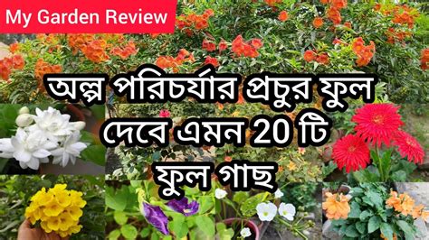 My Garden Review🌷অল্প পরিচর্যার প্রচুর ফুল দেবে এমন সেরা 20 টি ফুল