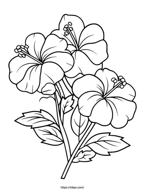 Printable Simple Line Art Flower Hibiscus Coloring Page In 2024 Flower Coloring Pages