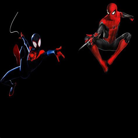 Spider Man Vs Miles Morales By Steveirwinfan96 On Deviantart