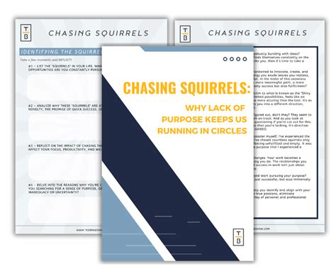 Stop Chasing Squirrels Discover Your Purpose And Transform Your Life