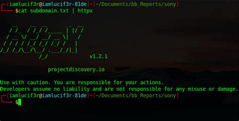 X Not Working No Results Showing · Projectdiscovery X