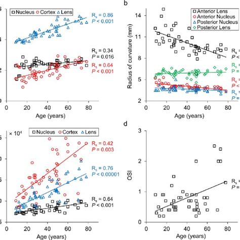 Age Dependence Of Measured A Thickness Of Nucleus Cortex And Whole Download Scientific