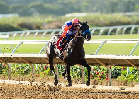 Splendora Affirms Bafferts Grip On Older Female Division With Tranquility Lake Stakes Win