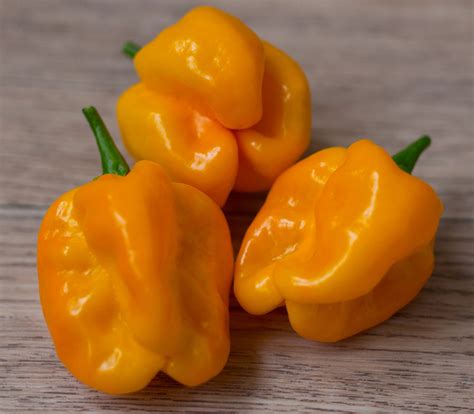Numex Suave Orange Pepper Seeds