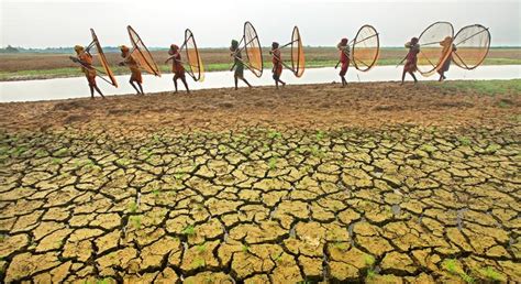 जैव विविधता क्या है और इसका संरक्षण किस तरह सम्भव है Biodiversity