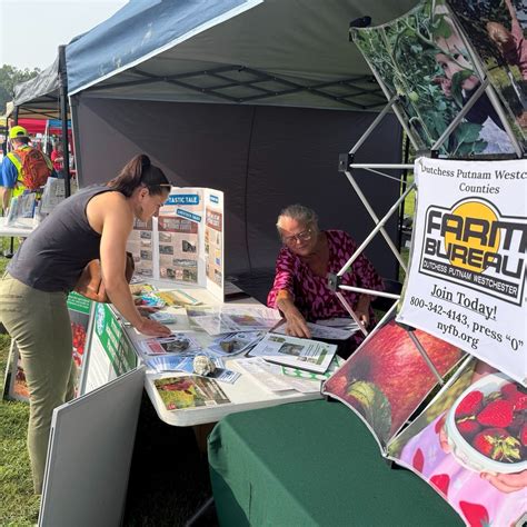 Cait Conley The Best Antidote To The Chaos And Dysfunction We Are