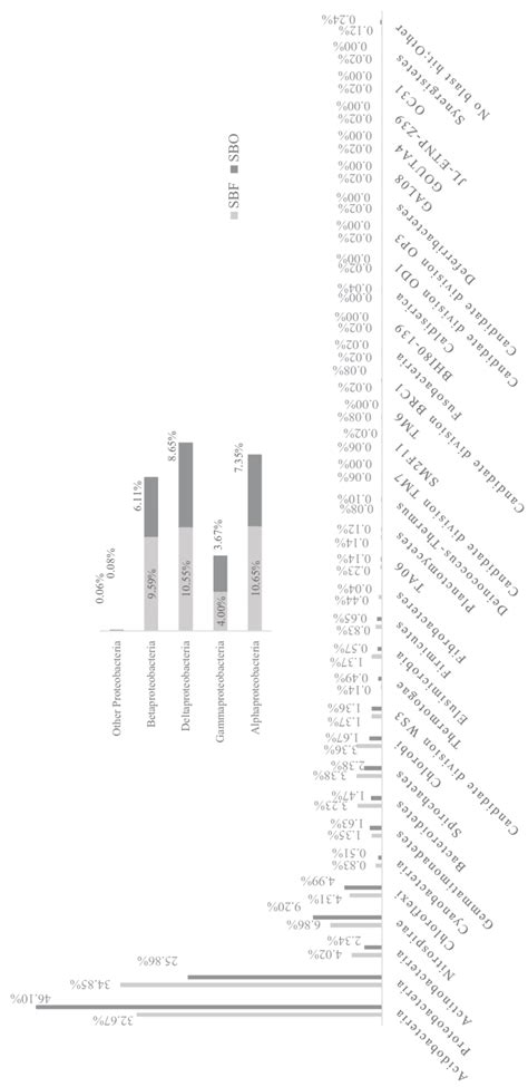 Average Relative Abundances Of Dominant Bacterial Taxa In Sediment