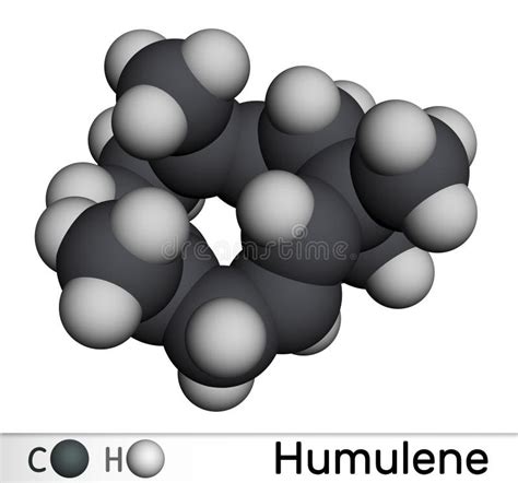 Humulene Î± Humulene Or Î± Caryophyllene Molecule It Is Component Of