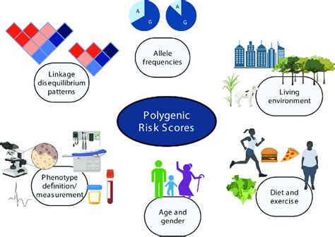 Factors That Influence The Transferability Of Polygenic Risk Scores
