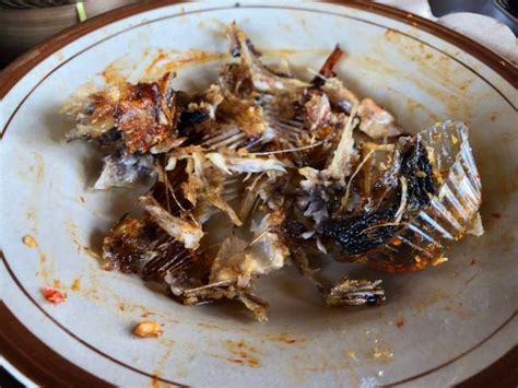 20 Daging Rusa Foto Foto Foto Stok Potret And Gambar Bebas Royalti