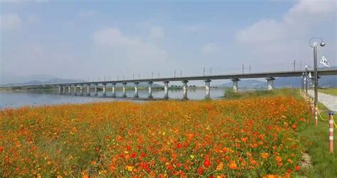 전국 Ktx 노선도 및 시간표 한눈에 보기 중앙선 편 Infofofo