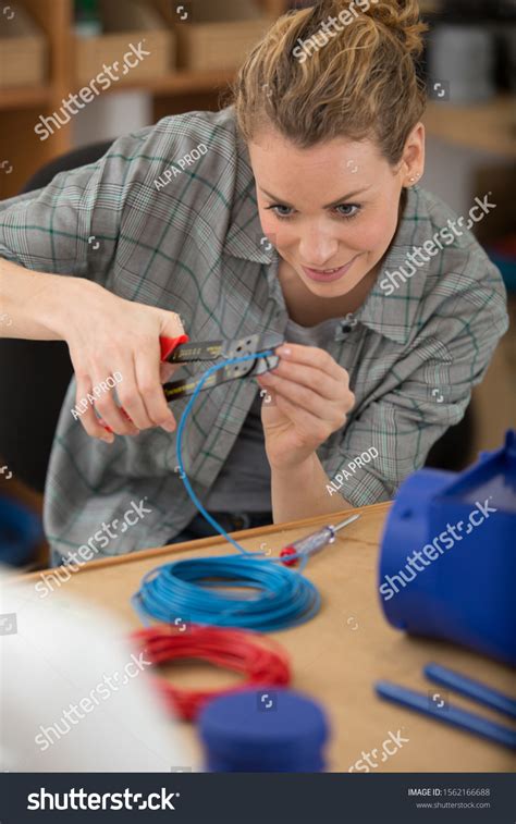 Assembly Wire Harness Connector Housing Terminal Stock Photo Shutterstock