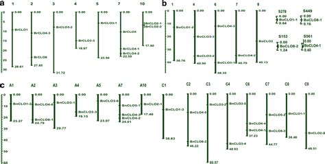 Chromosomal Architecture Of Caleosin Genes In B Rapa A B Oleracea