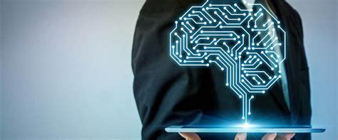 The Best Dehydroepiandrosterone Dhea Supplements