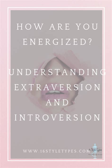 How Are You Energized Understanding Extraversion And Introversion Style Types